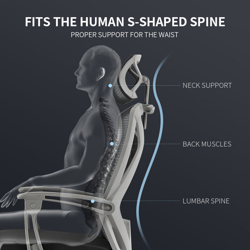The Complete SIHOO Ergonomic Chair Guide for Better Posture and Perfor ...