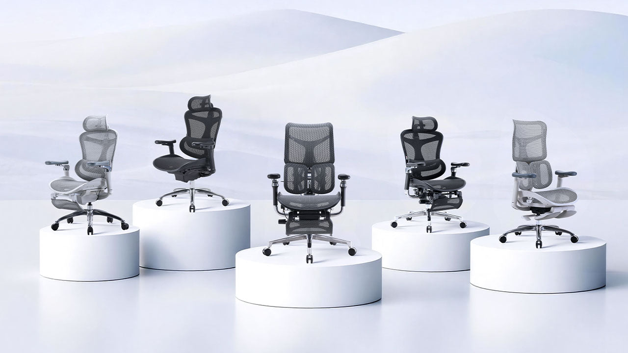 Shop Sihoo Ergonomic Chairs and Desks - Asia's Top Ergonomic Brand ...