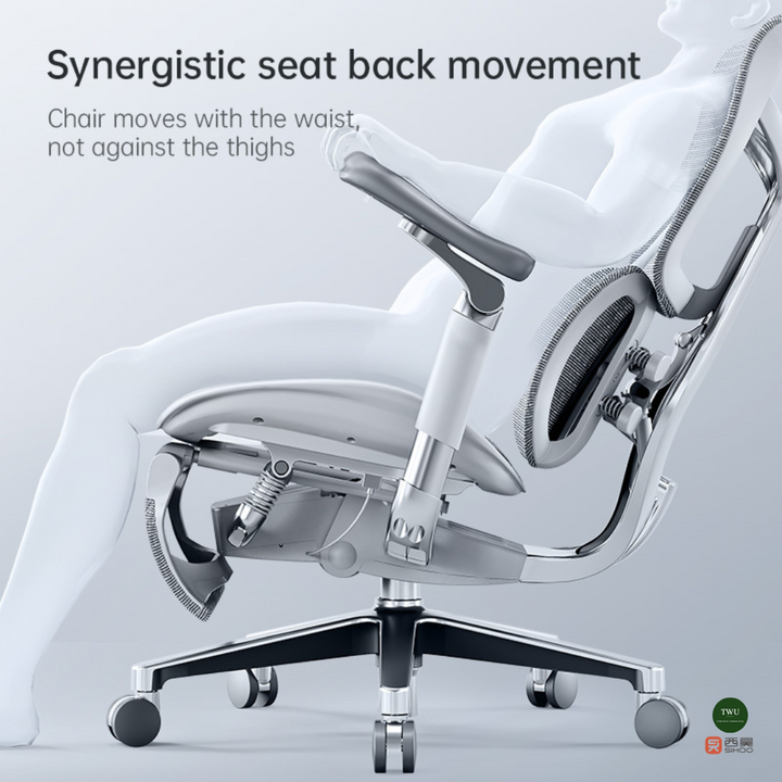 SIHOO DORO S300 (AU) Ergonomic Executive Office Chair with Built-in Fo ...